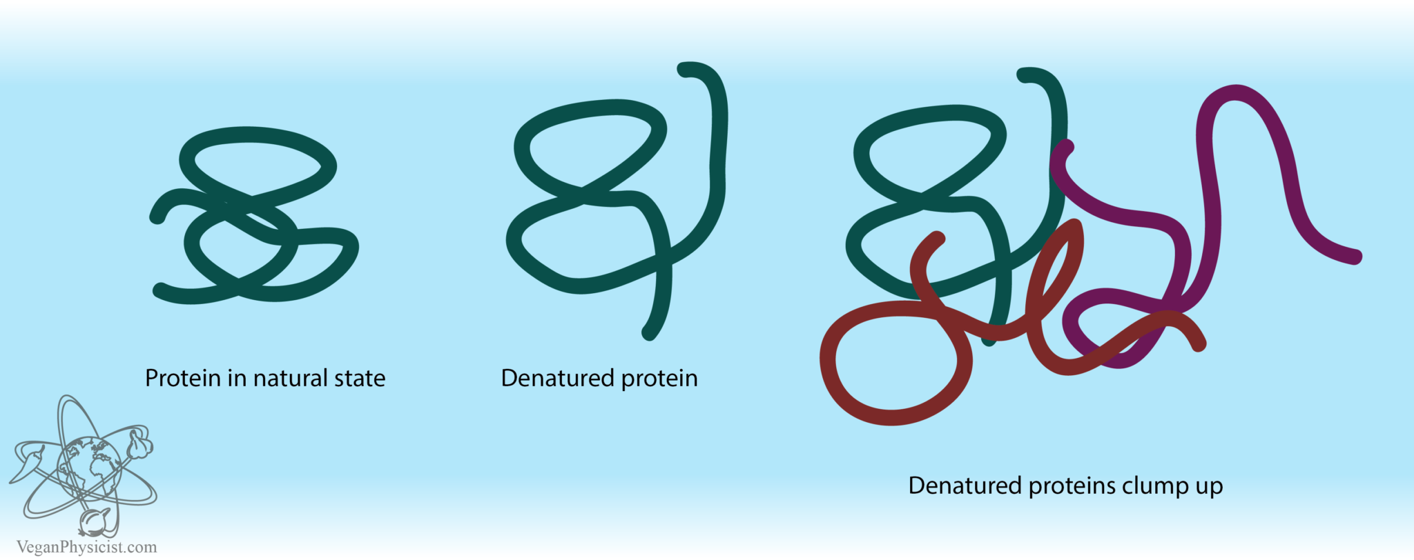 Protons, proteins and tofu - vegan food chemistry - Vegan Physicist