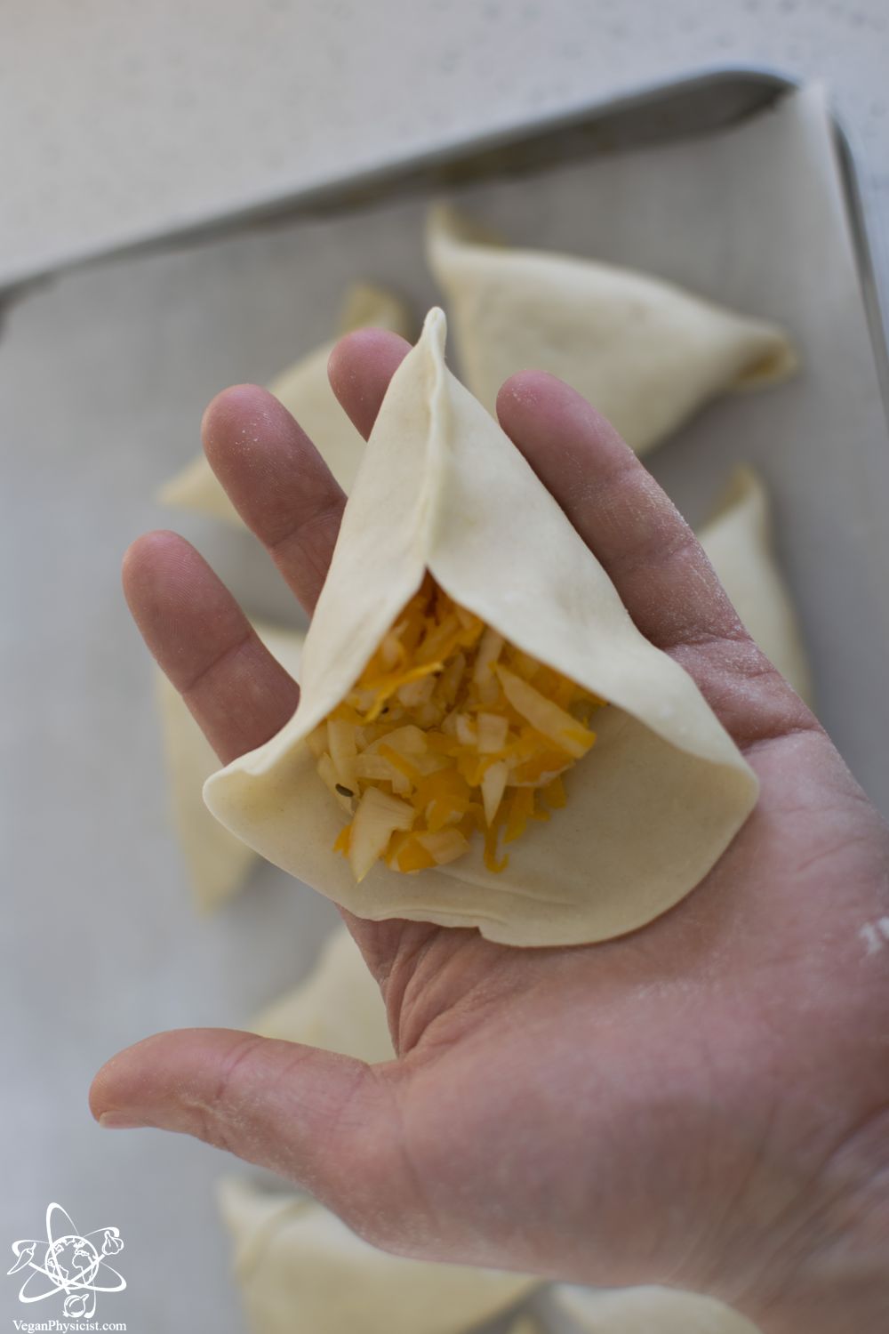 Tajikistan: vegan sambusa - Vegan Physicist